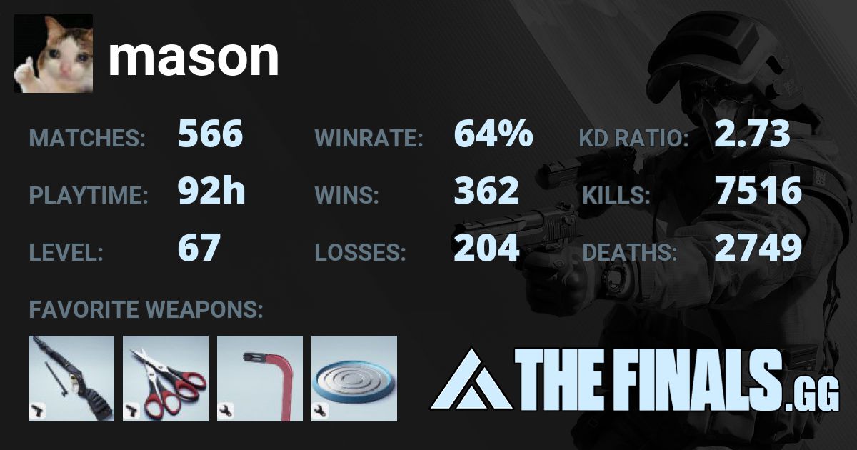 MASON Skins - The Finals